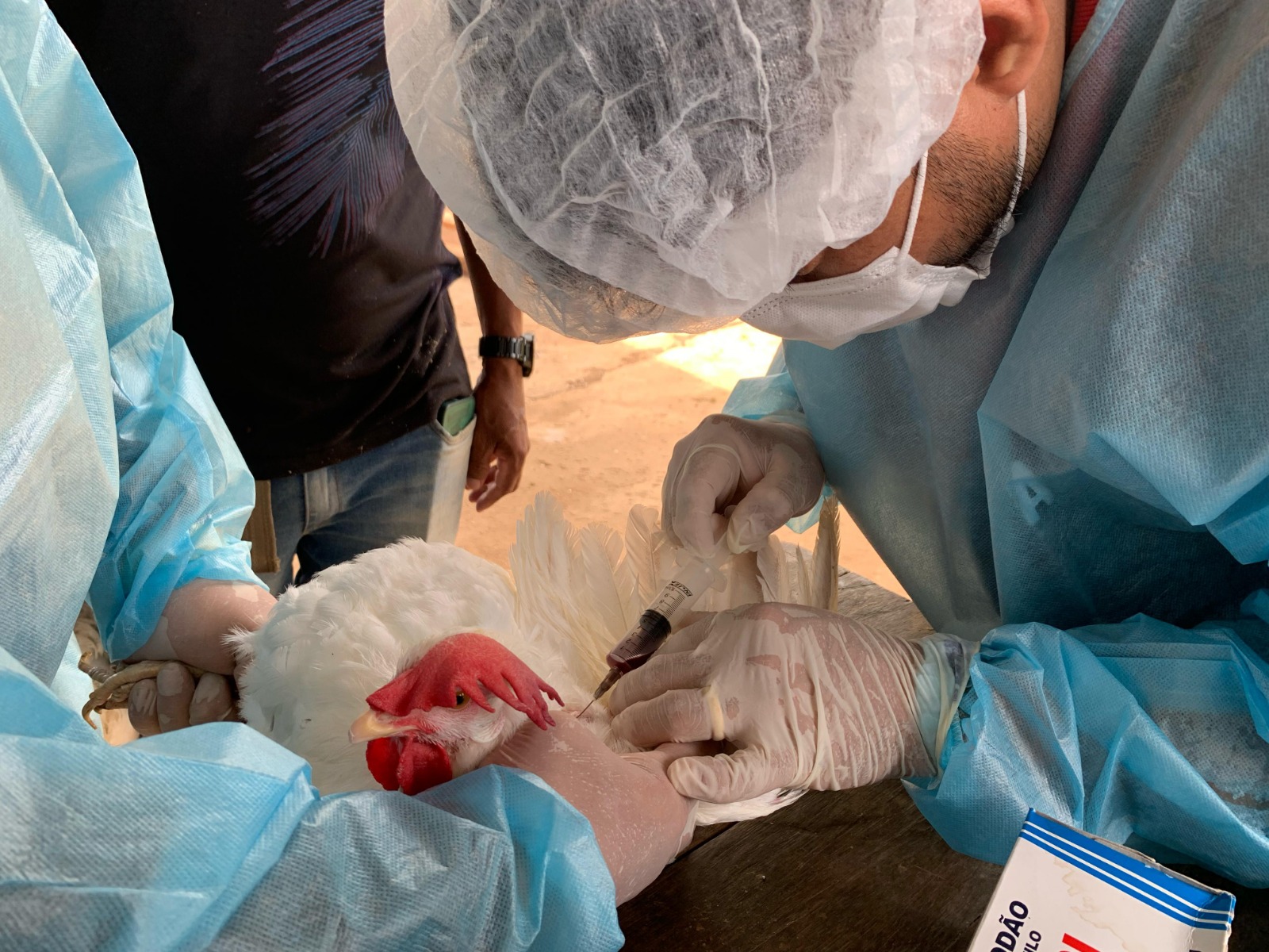 Inquérito epidemiológico: Adaf vai coletar amostras de material ...